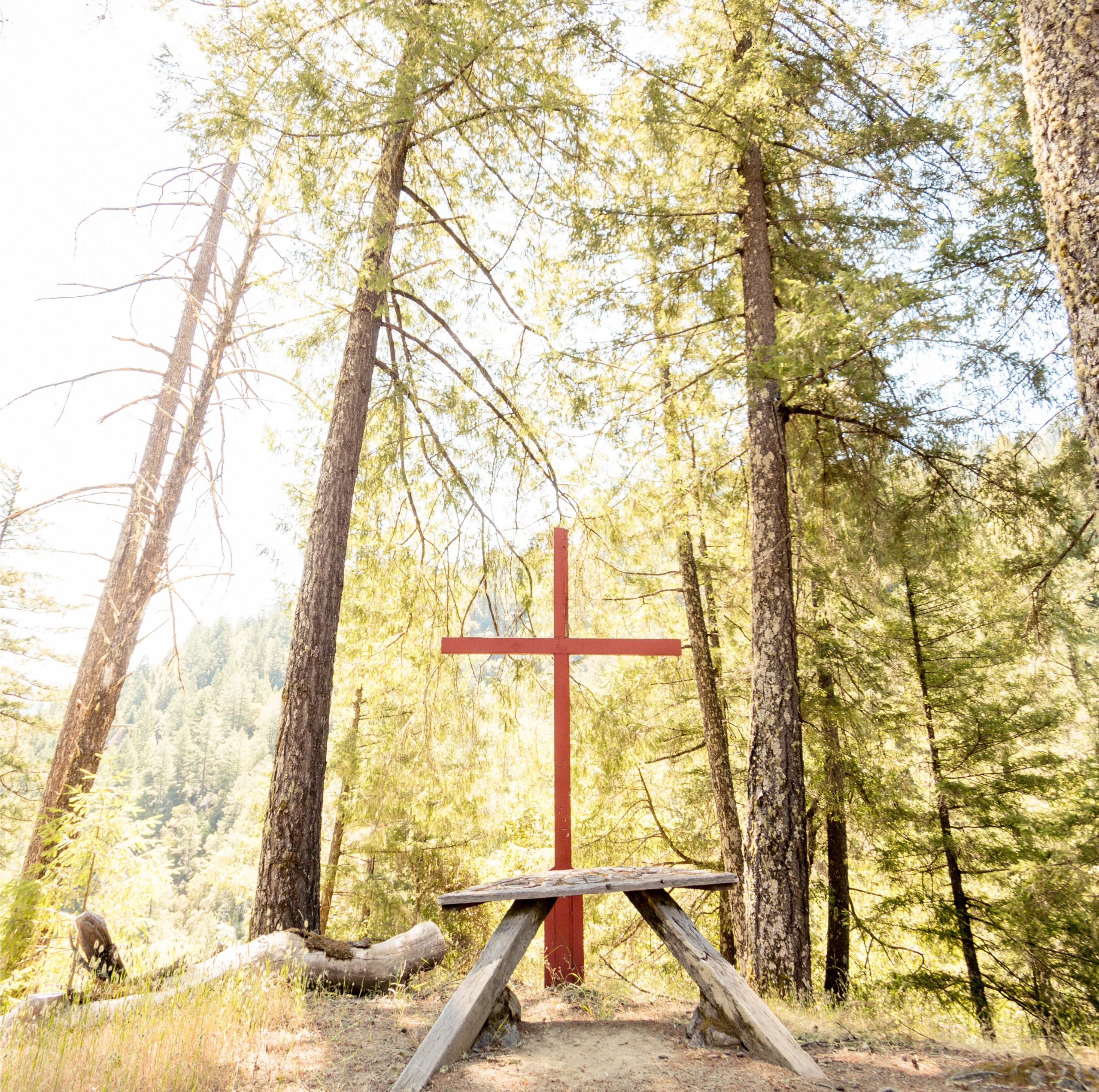 Did The Father Forsake The Son On The Cross Online | emergencydentistry.com